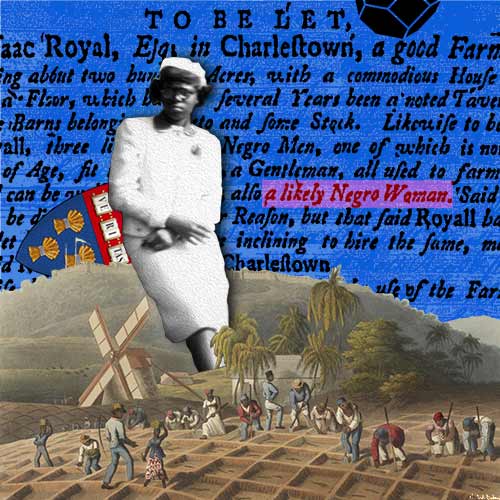 Ten Views, Reconsidered (2020) | M. Asli Dukan