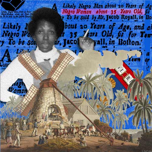 Ten Views, Reconsidered (2020) | M. Asli Dukan